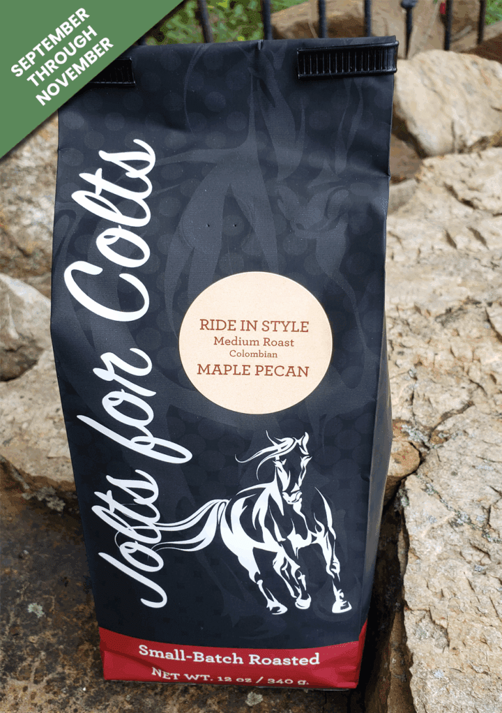 Ride In Style - Jolts for Colts